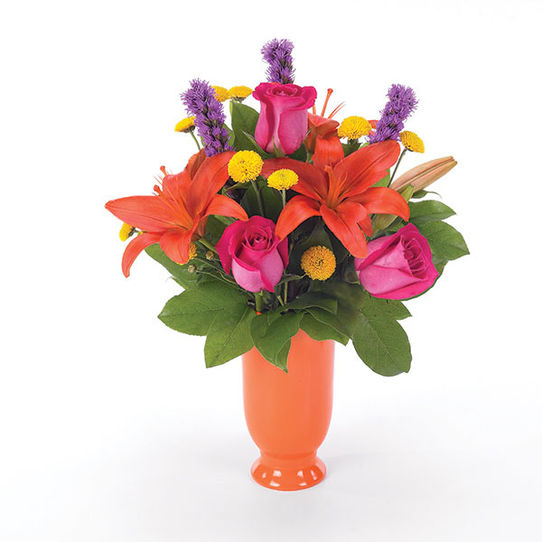 Spice of Life for delivery today | Ruth's Roses