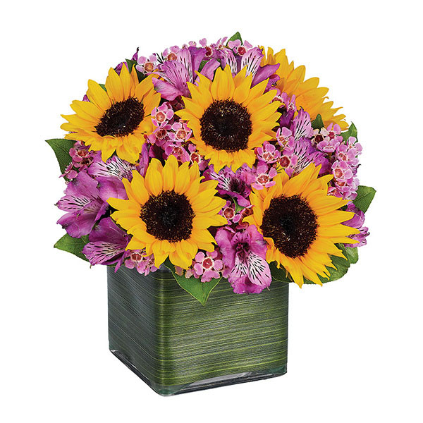 Sunflower Melody for delivery today | Ruth's Roses