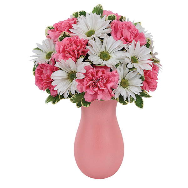 Daisy & Rose Delight for delivery today | Flowers By Nora