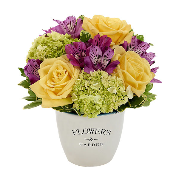 Flowers & Garden Bouquet for delivery today | Flowers By Eva