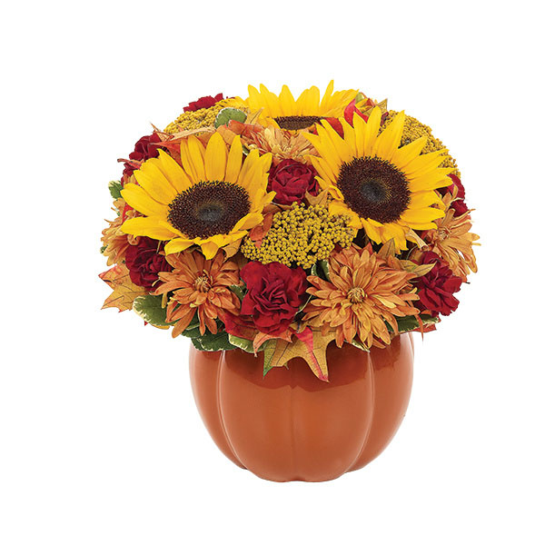 Thanksgiving Pumpkin Celebration for delivery today | Flowers By Eva