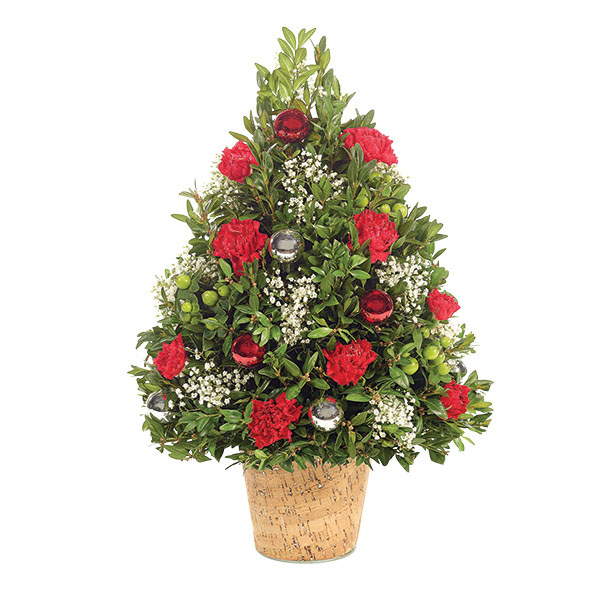 Holiday Celebration Flower Tree for delivery today | Flowers By Eva