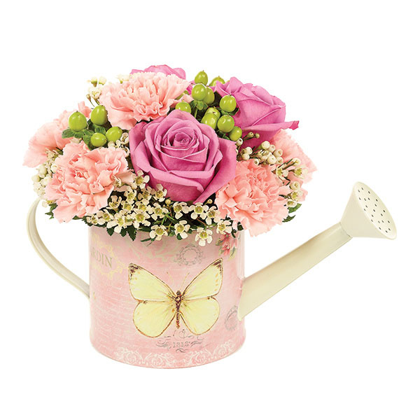 Butterfly Garden Watering Can for delivery today | Flowers By Nora