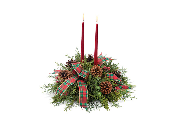 Bright Evergreen Centerpiece for delivery today | Terry's Florist