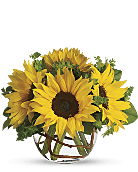 Sunny Sunflowers for delivery today | Ruth's Roses