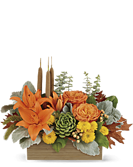 Fall Bamboo Garden for delivery today | Flowers By Nora